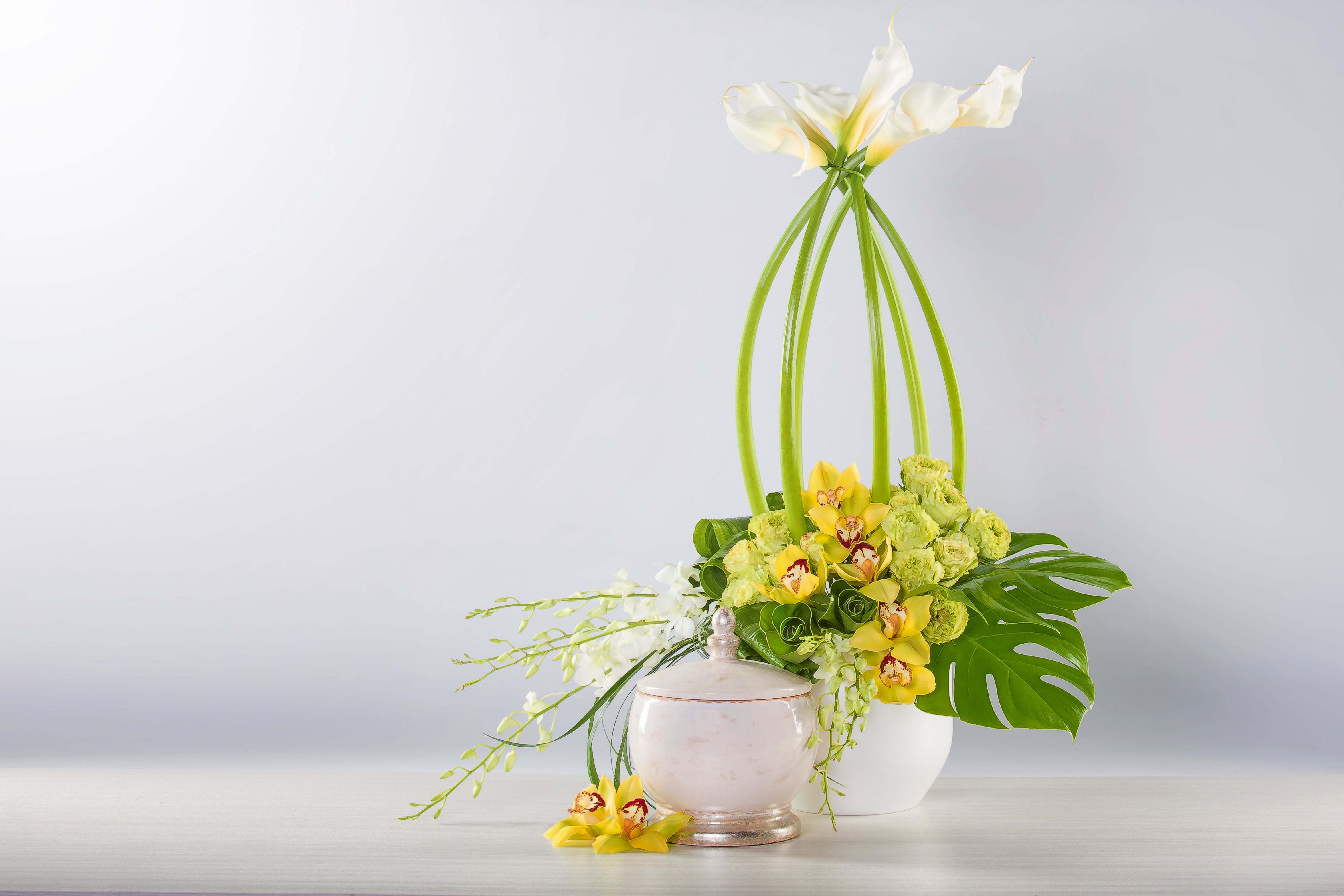 MANDY – CARTE BLANCHE