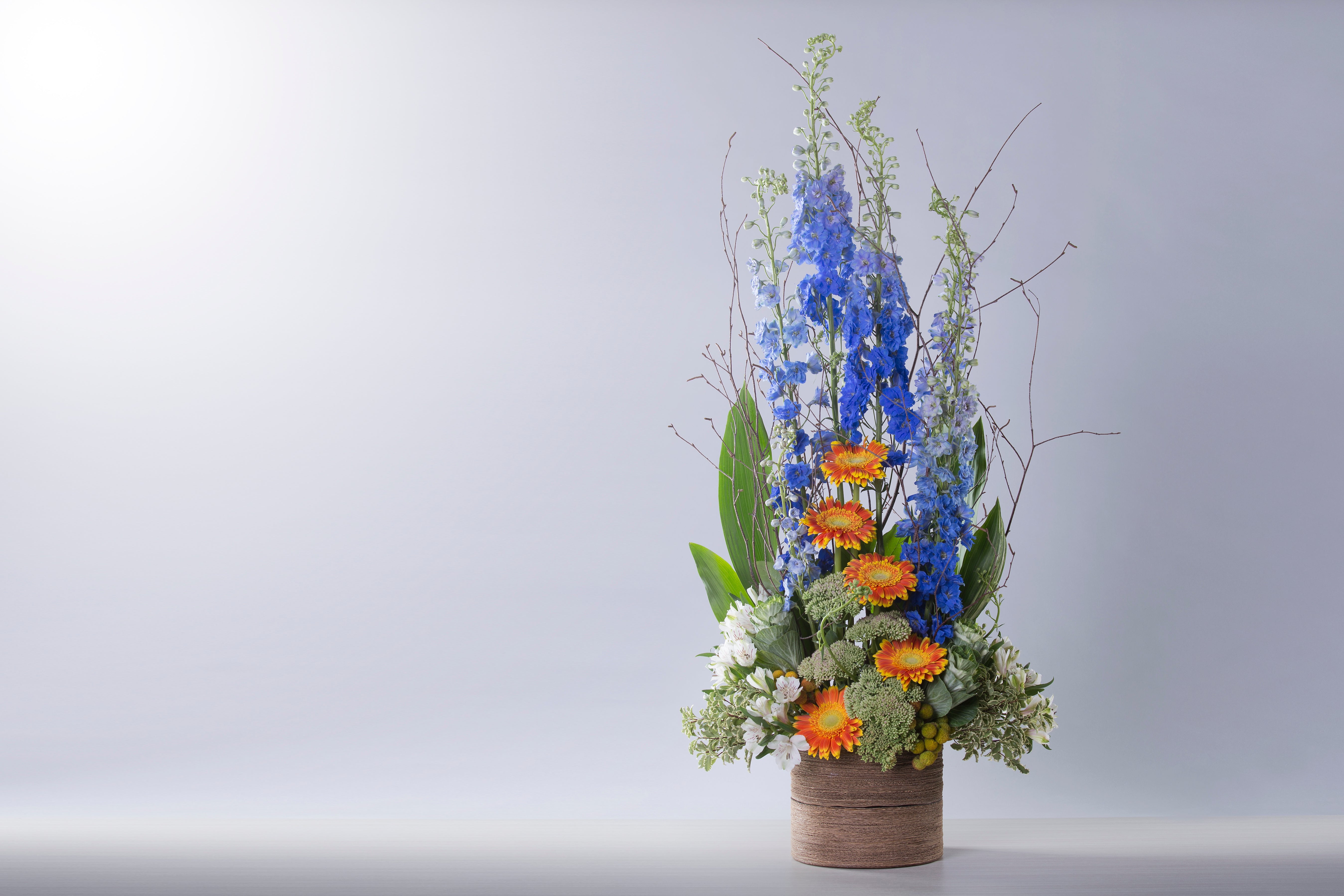 MÉRÉDITH – CARTE BLANCHE